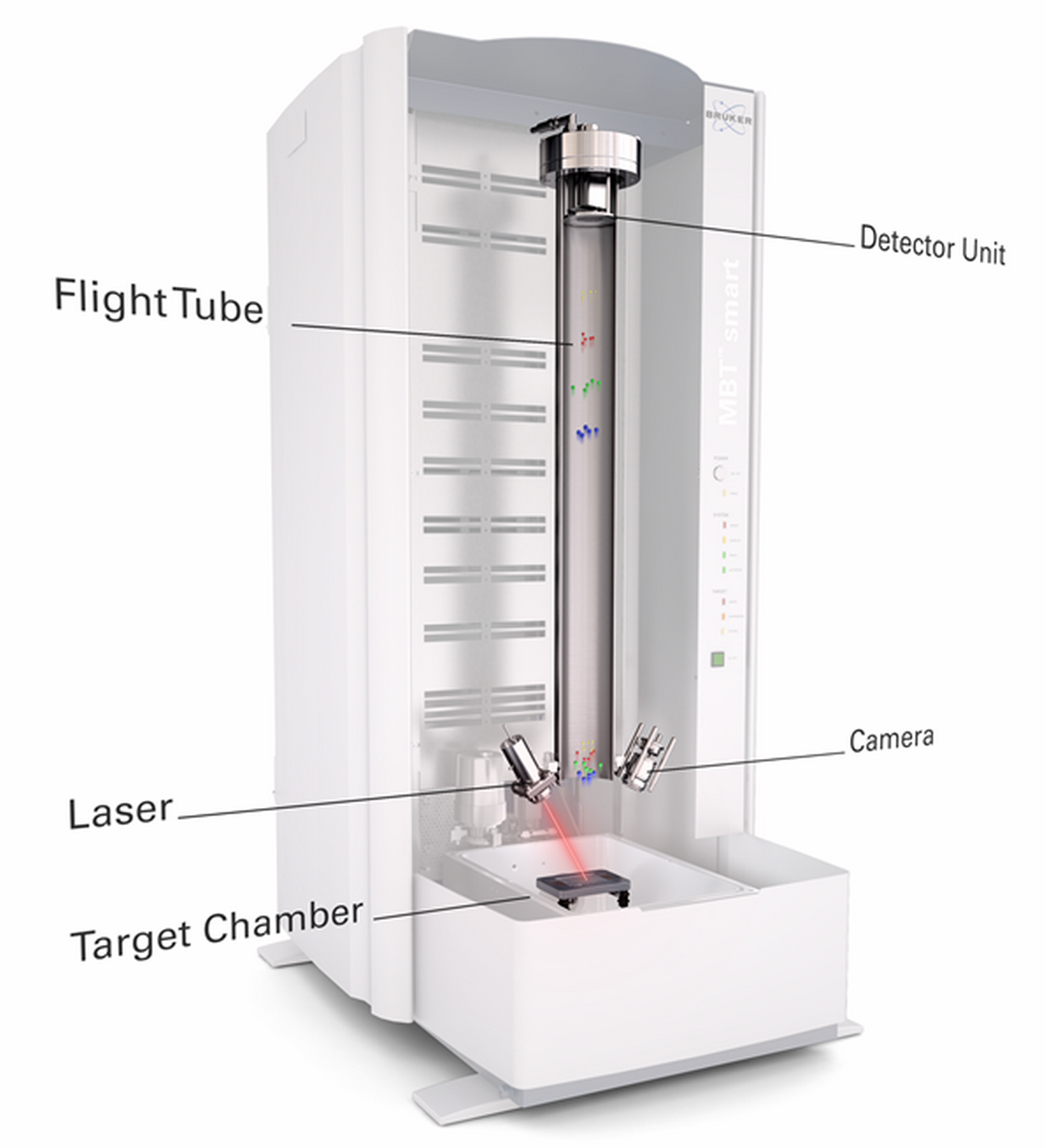 Identification des micro-organismes pathogènes par spectrométrie de masse de type MALDI-TOF en ...